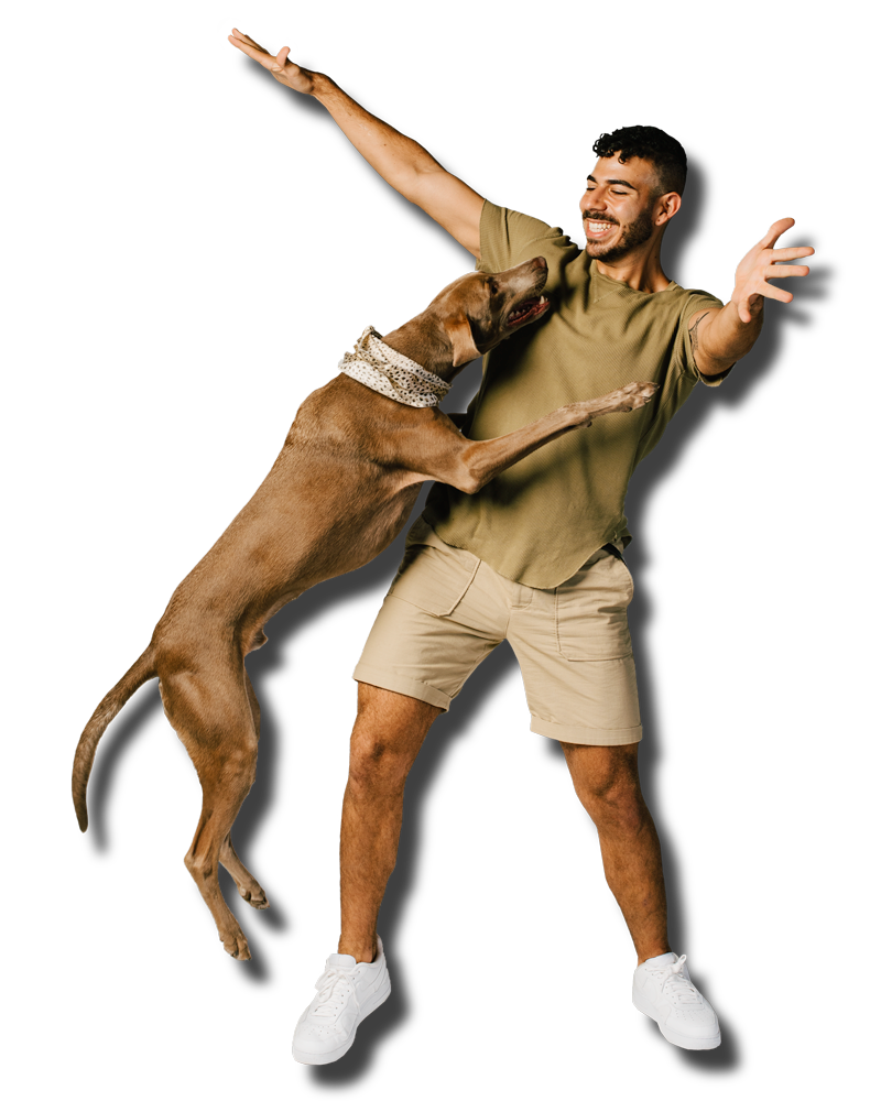 About Microsoft Israel R&D Center - Who we are